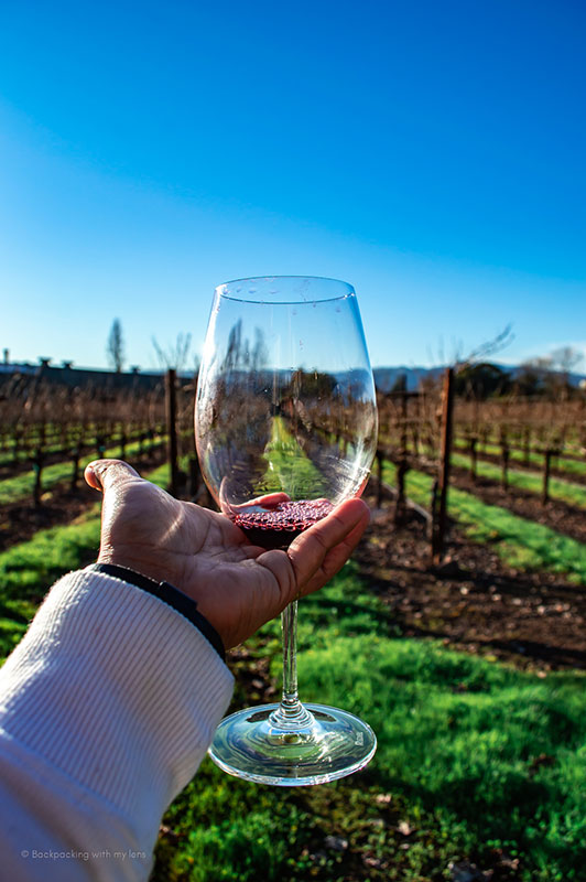 Wine Tasting Tour At Sebastiani Winery & Vineyard, Sonoma County