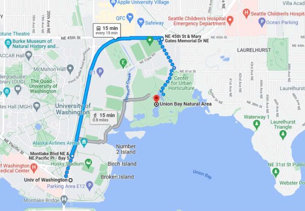 Birding At Union By Natural Area: A Detailed Guide