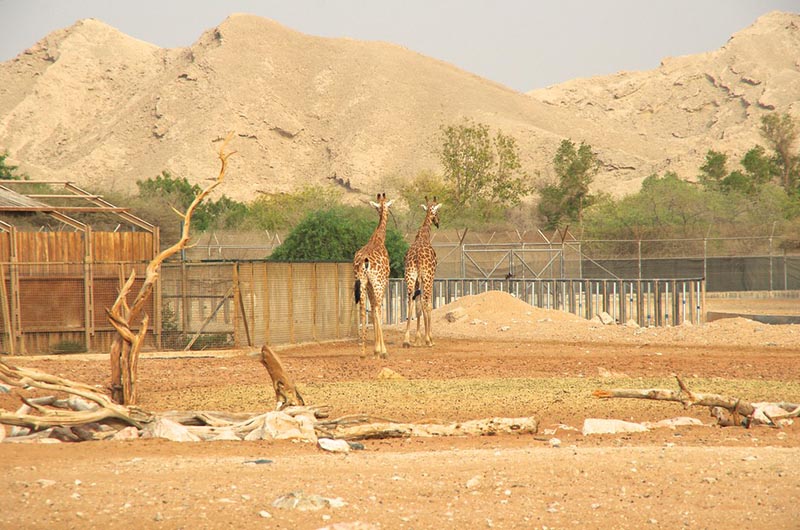 10 Best Places to Visit in Al Ain - Backpacking With My Lens