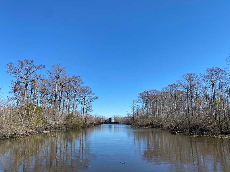 A Weekend in New Orleans: Mardi Gras, Cajun Food and History!