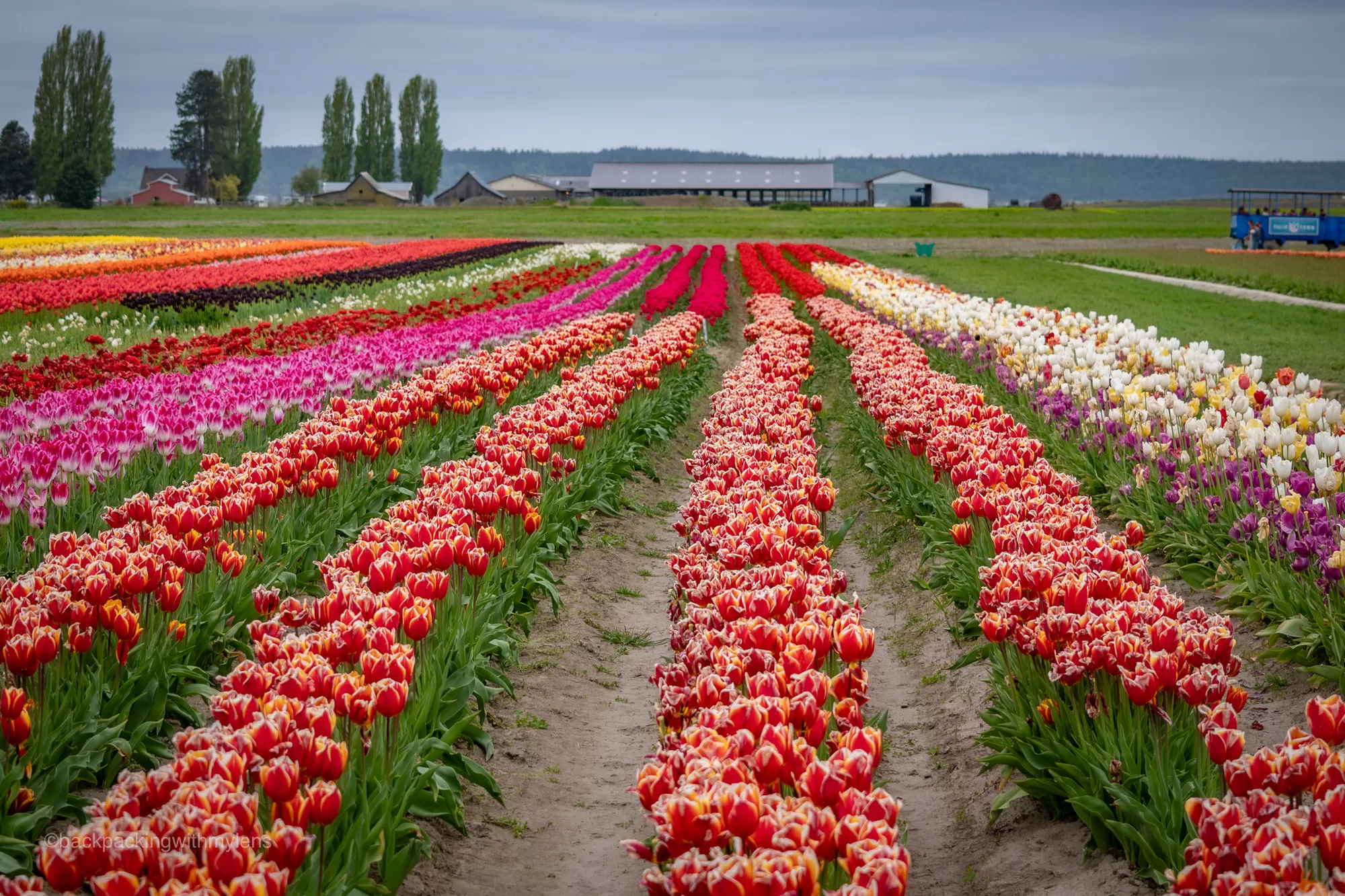 Seattle Spring Guide: Festivals, Food & Other things to do